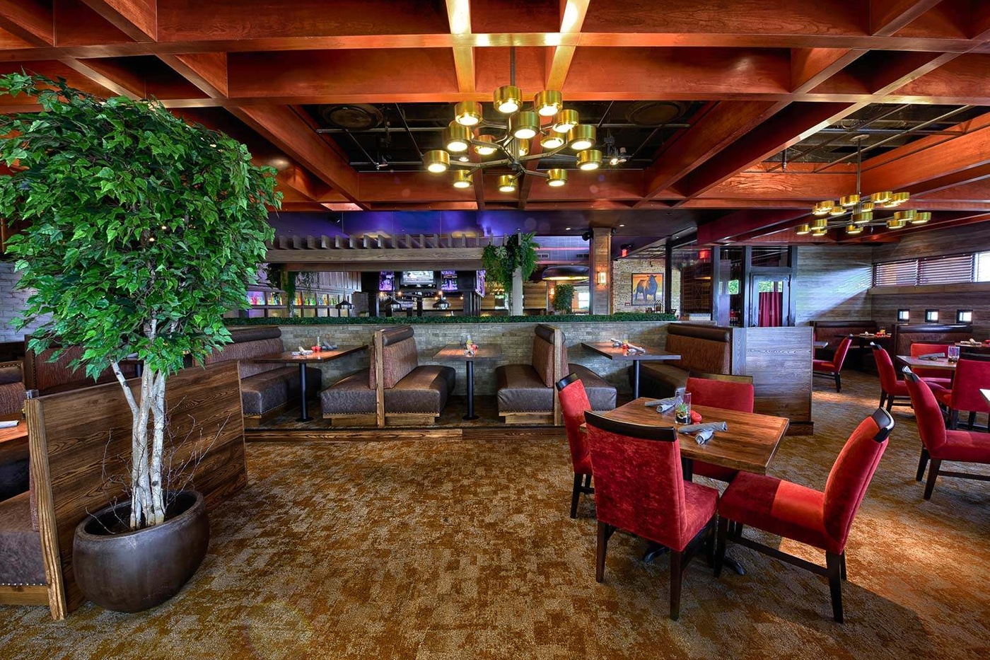 Origin | Brimstone Woodfire Grill